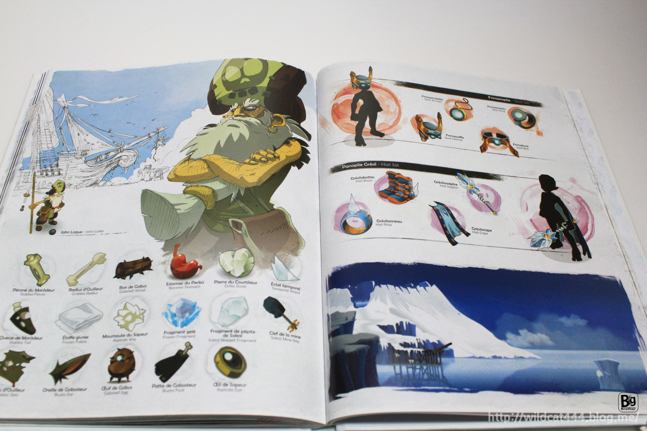BOOK REVIEW: DOFUS 2.0 FRIGOST ARTBOOK - Big Brother Story